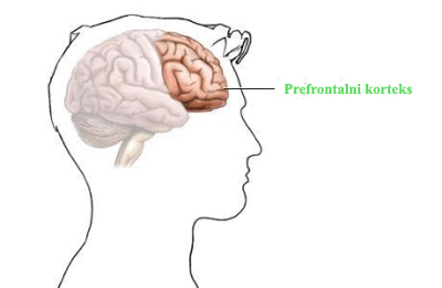 Neuralna povezanost duše i tela - Psihoterapijske teme